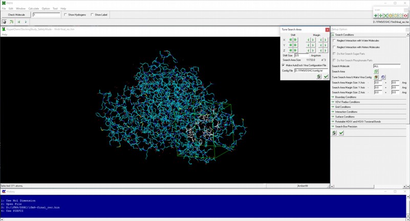 Preparation of AutoDock Vina Configuration file.