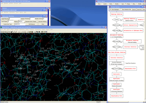 Homology Modeling Professional for HyperChem: Tutorial 1 - Institute of ...