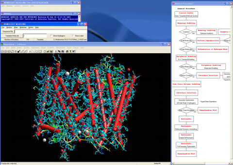 Homology Modeling Professional for HyperChem: Tutorial 1 - Institute of ...
