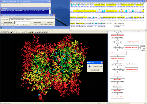 Homology Modeling Professional for HyperChem: Tutorial 1 - Institute of ...