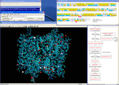 Homology Modeling Professional for HyperChem: Tutorial 1 - Institute of ...