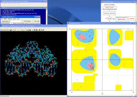 Homology Modeling Professional for HyperChem Tutorial2 - Institute of ...