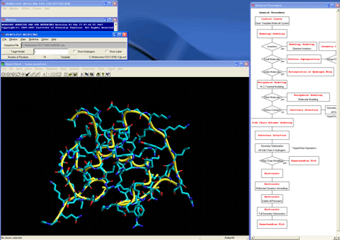 Homology Modeling Professional for HyperChem Tutorial2 - Institute of ...