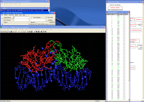 Homology Modeling Professional for HyperChem Tutorial2 - Institute of ...