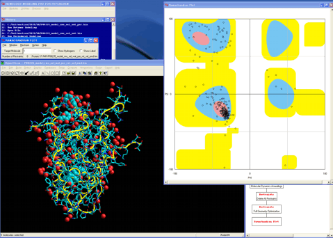 Homology Modeling Professional for HyperChem: Tutorial 3 - Institute of ...