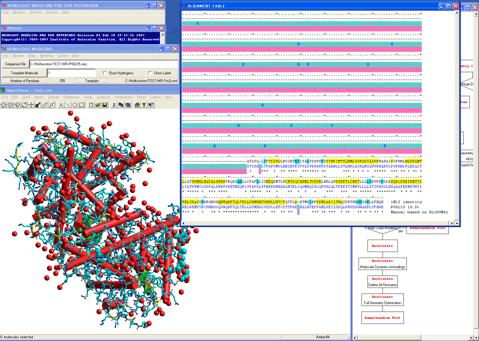 Homology Modeling Professional for HyperChem: Tutorial 3 - Institute of ...