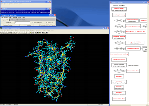 Homology Modeling Professional for HyperChem: Tutorial 3 - Institute of ...