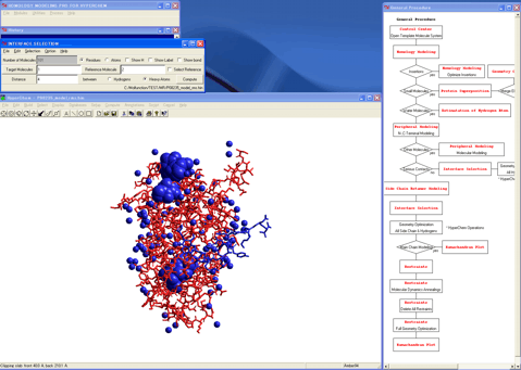 Homology Modeling Professional for HyperChem: Tutorial 3 - Institute of ...
