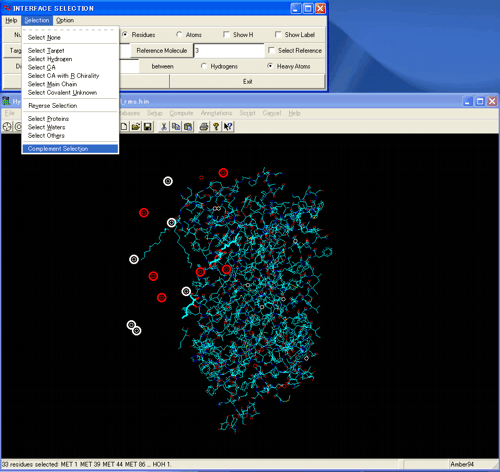 Homology Modeling Professional for HyperChem: Tutorial 4 - Institute of ...