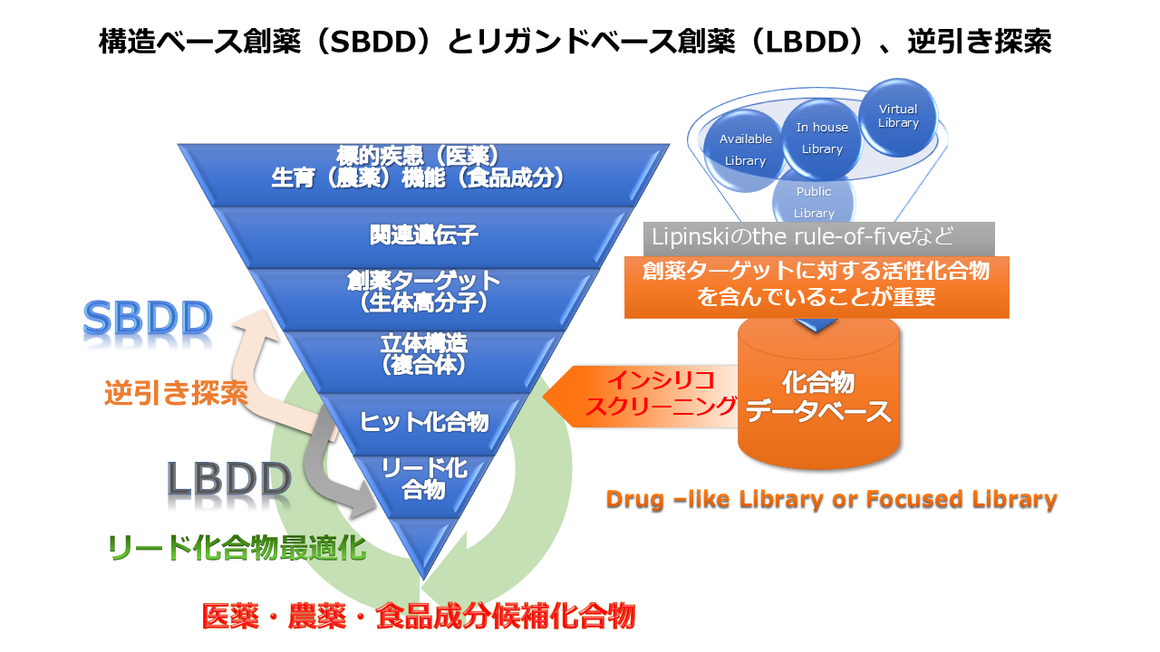 分子機能研究所｜インシリコ創薬受託研究サービス｜MFDDサービス